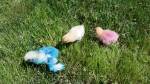 Dyed Baby Chicks Get Dumped After Easter | Diablo Reporter